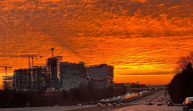 Cosmos Café - Reston Station