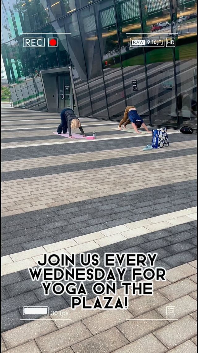 Baron Cameron Park - Reston Station